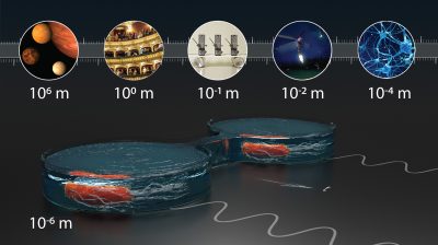 Dancing Microbes: Scientists Orchestrate Bacteria Into Perfect Sync