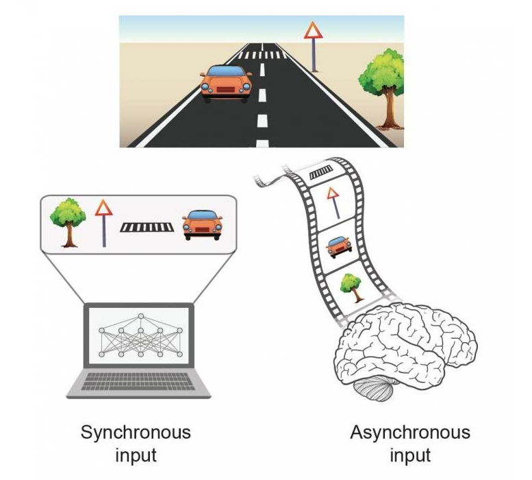 New Type of Artificial Intelligence Inspired by Brain