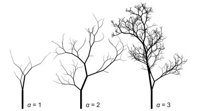 Leonardo da Vinci Was Right: The Mathematical Secret of Tree Art