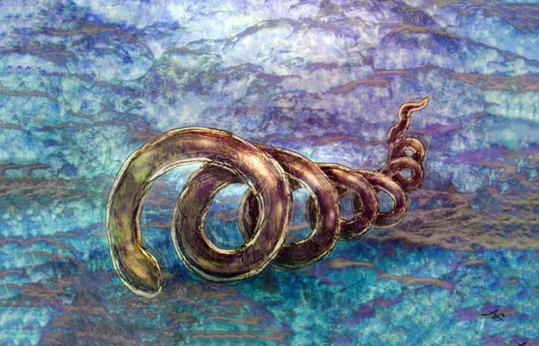 Syphilis Alters Its Genetics to Evade the Immune System