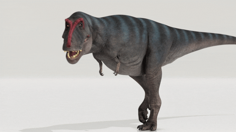 Tyrannosaurus Rex News | SciTechDaily