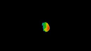NASA's Mars Odyssey Views Phobos in a Different Light