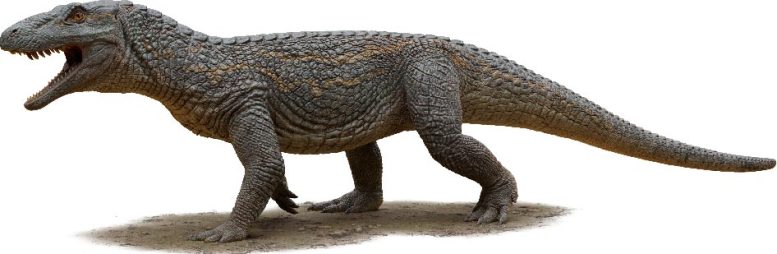 It Looks Like a Dinosaur, but This 240-Million-Year-Old Beast Is ...