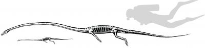 150 Year-Old Mystery Solved: Bizarre Giraffe-Necked Reptile Was a ...