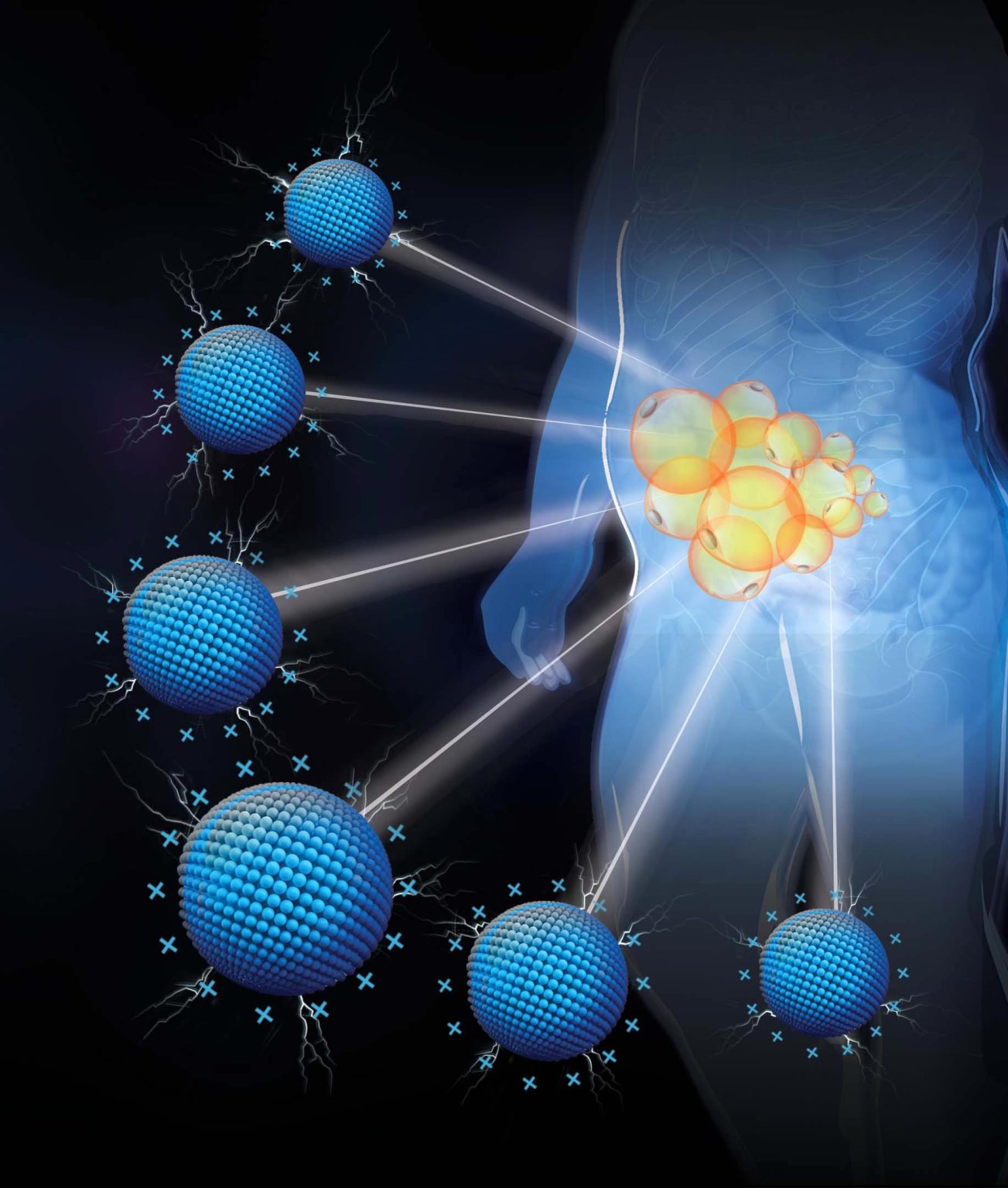 Columbia University Obesity Treatment: Nanotechnology Reduces Fat at ...
