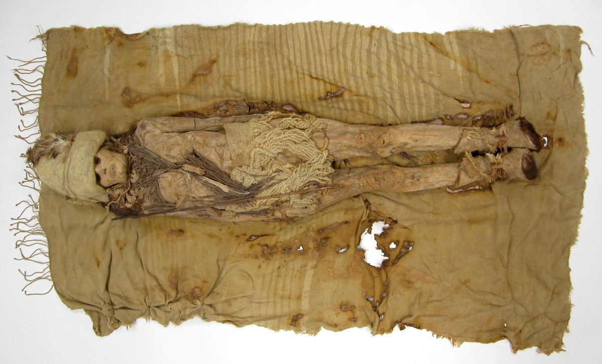 Mystery of the Mummies’ Cheese: World’s Oldest Cheese Unlocks Secrets ...