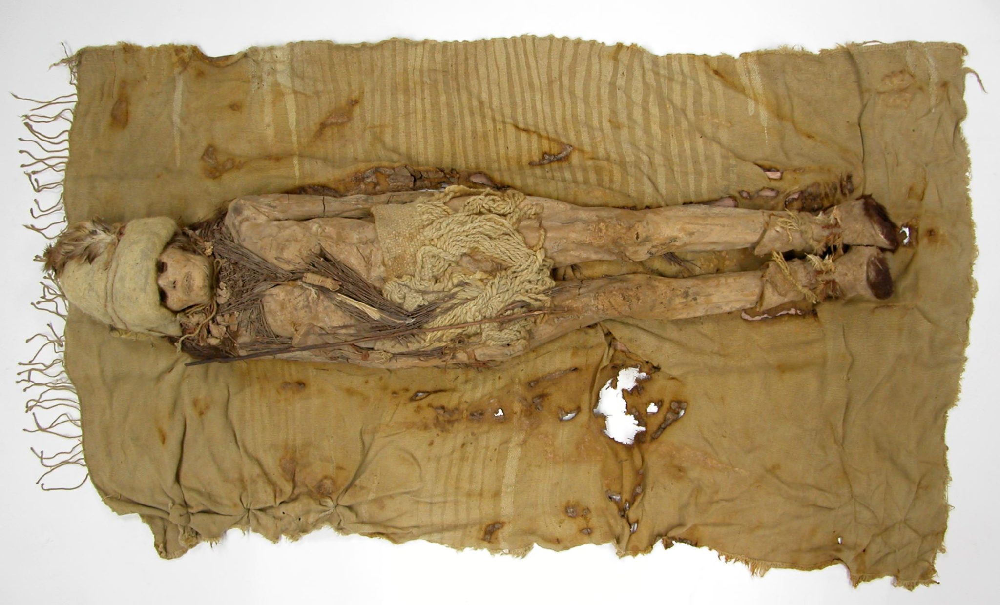 Mystery of the Mummies’ Cheese: World’s Oldest Cheese Unlocks Secrets ...