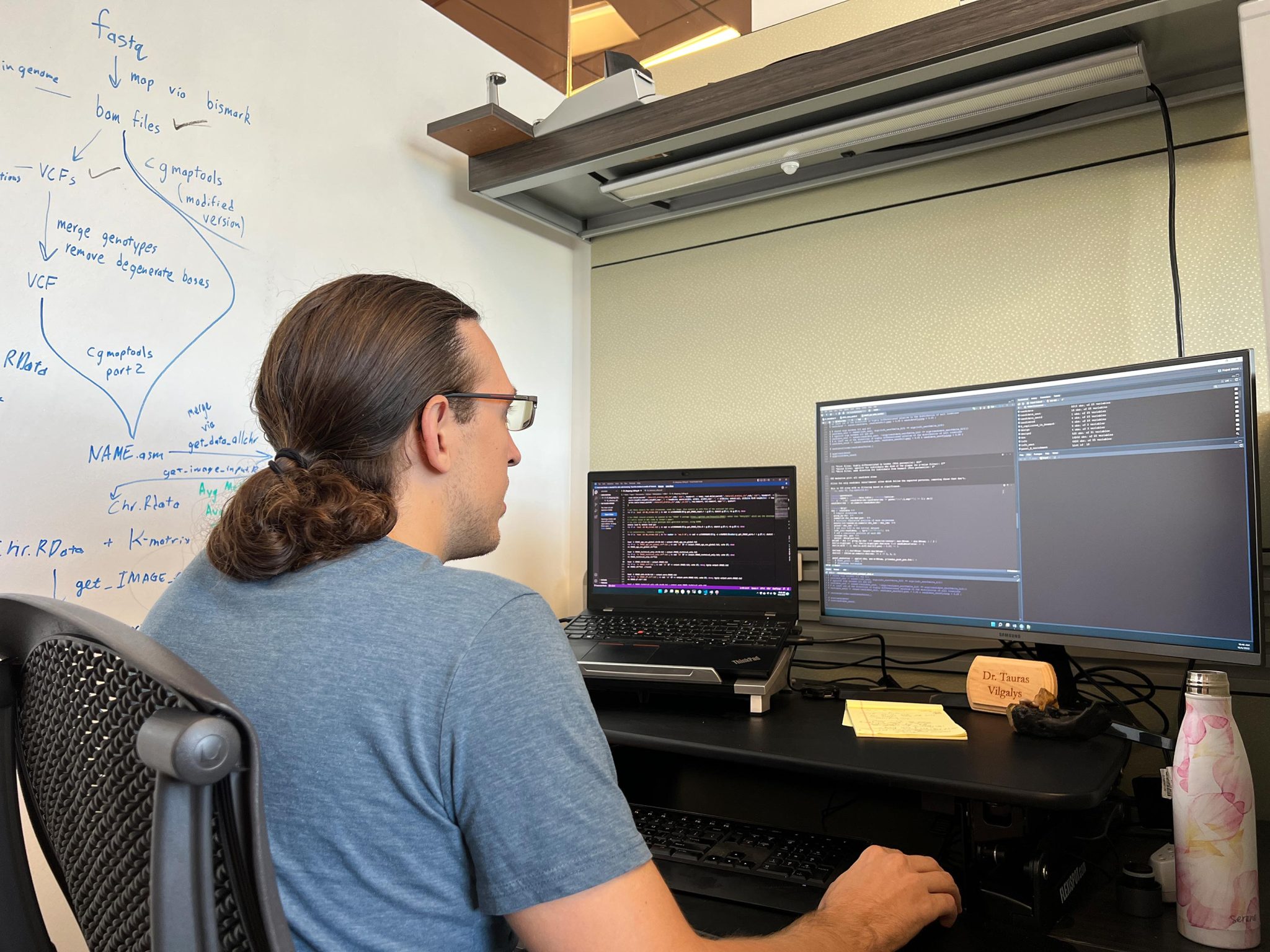 Black Death Drove Selection of Human Immune-Related Genes, Affecting ...