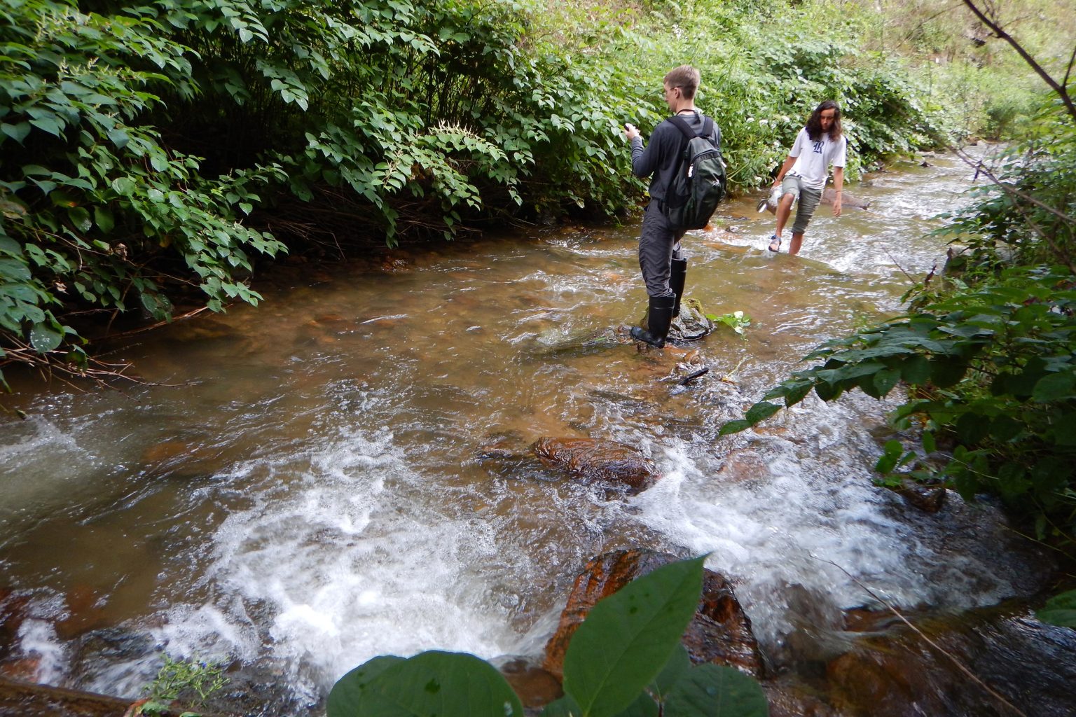 Unraveling Fish Evolution: The Surprising Impact of River