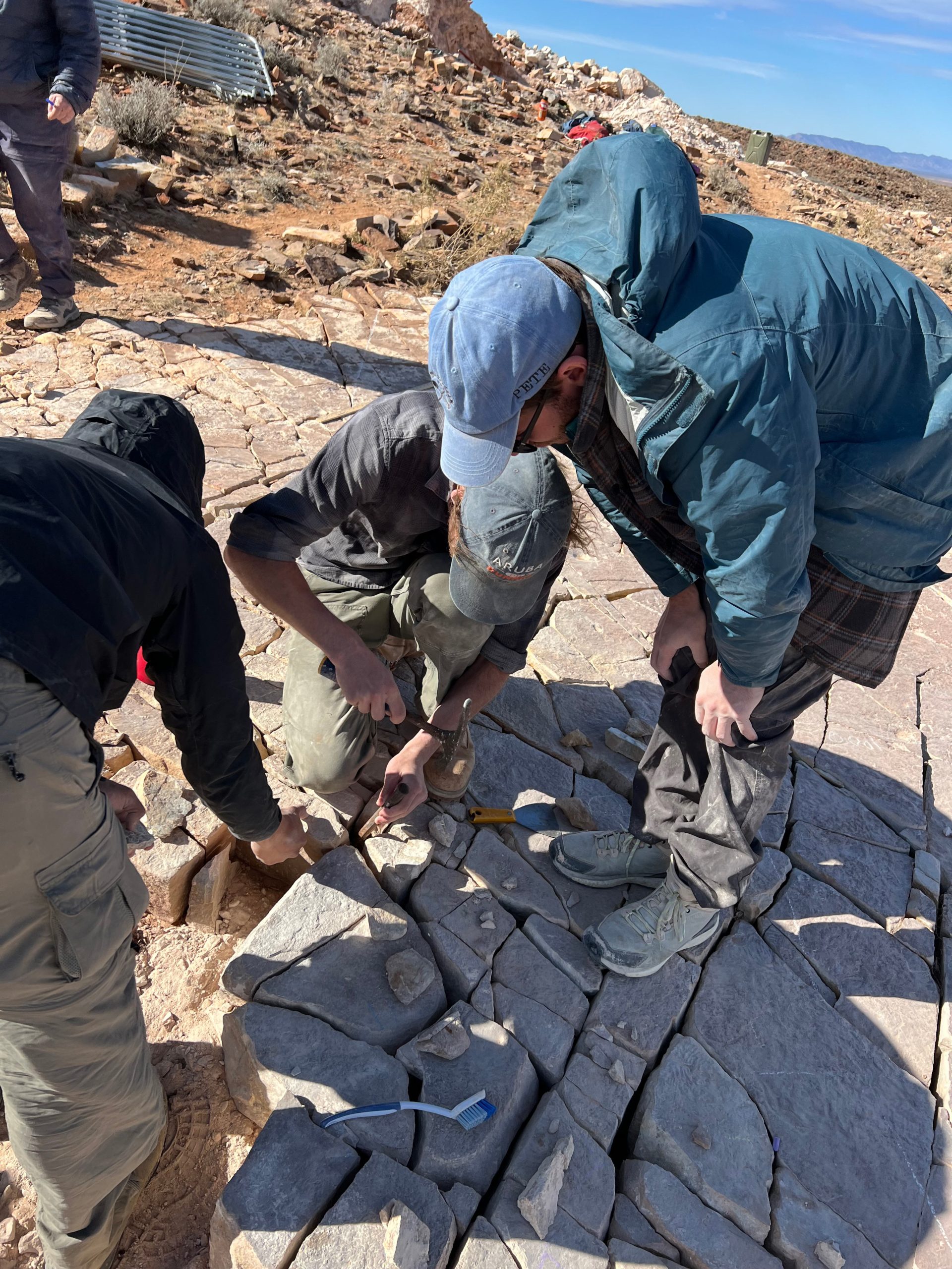 Groundbreaking 555-Million-Year-Old Fossil Discovery Sheds Light on One ...