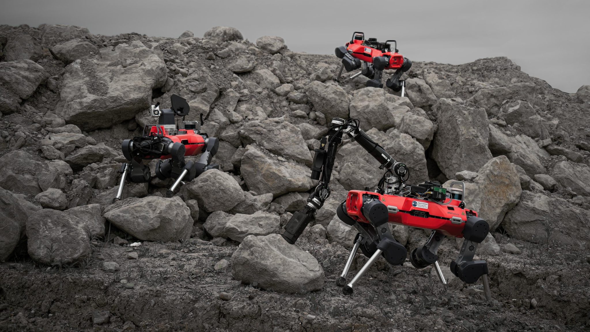 Planetary Pioneers: Robot Team Gears Up for Future Moon Exploration ...