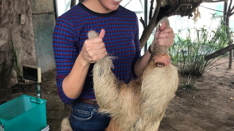 Was Frozen Mammoth or Giant Ground Sloth Served for Dinner?