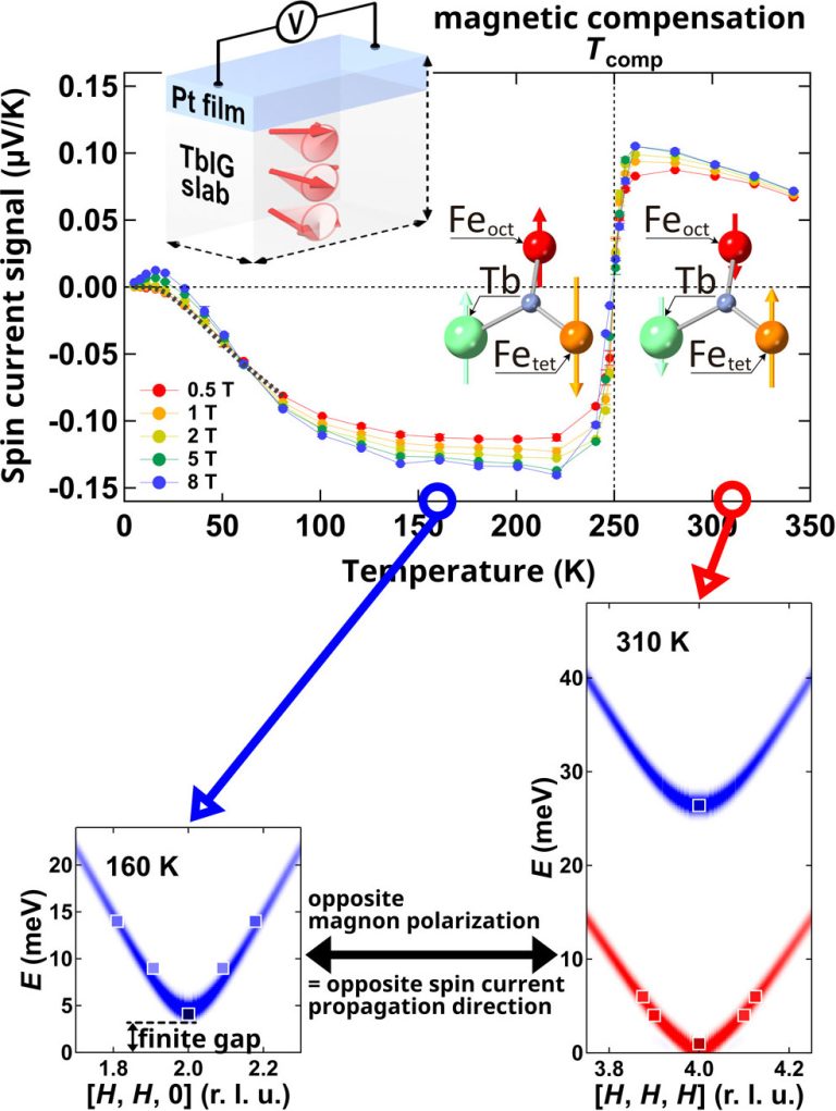 Spin Secrets Unlocked: New Milestone in Spintronics Could Revolutionize ...