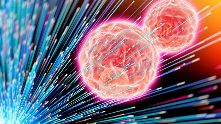 Biology News - Page 113 of 222 - SciTechDaily