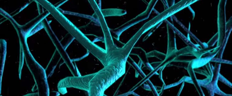 New Test for Alzheimer’s Disease Directly Measures Synaptic Loss
