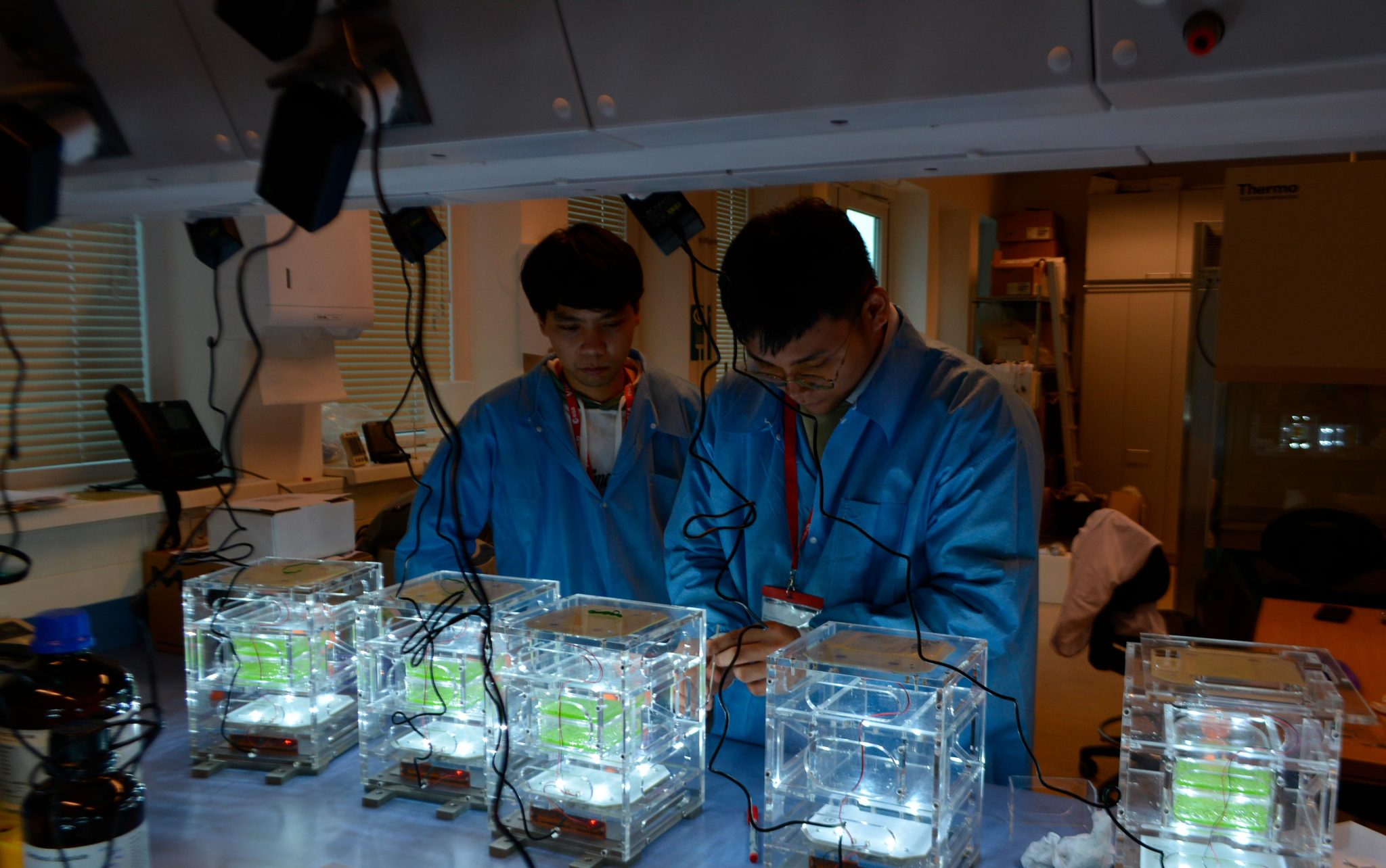 Astro-Botany Breakthrough: Earth’s Smallest Plant Takes On Hypergravity