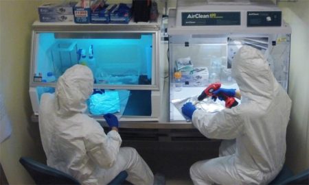 1,500-Year-Old Mystery Solved: Scientists Rewrite the Origins of the ...