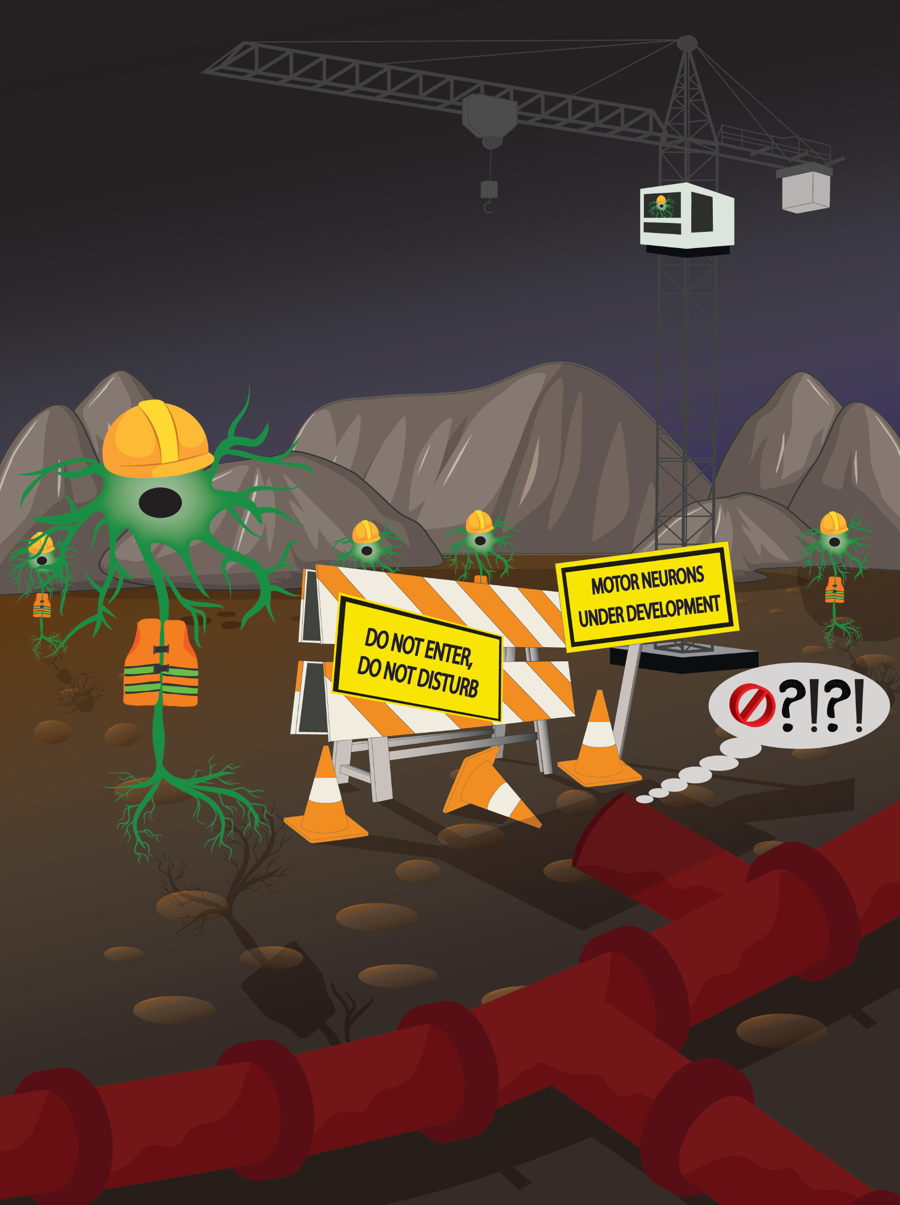 Researchers Provide New Insight Into the Carefully Choreographed Dance ...