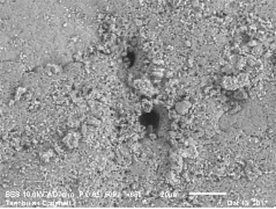 What Came First the Chicken or the Egg? Discovery of Ancient Eggshells ...