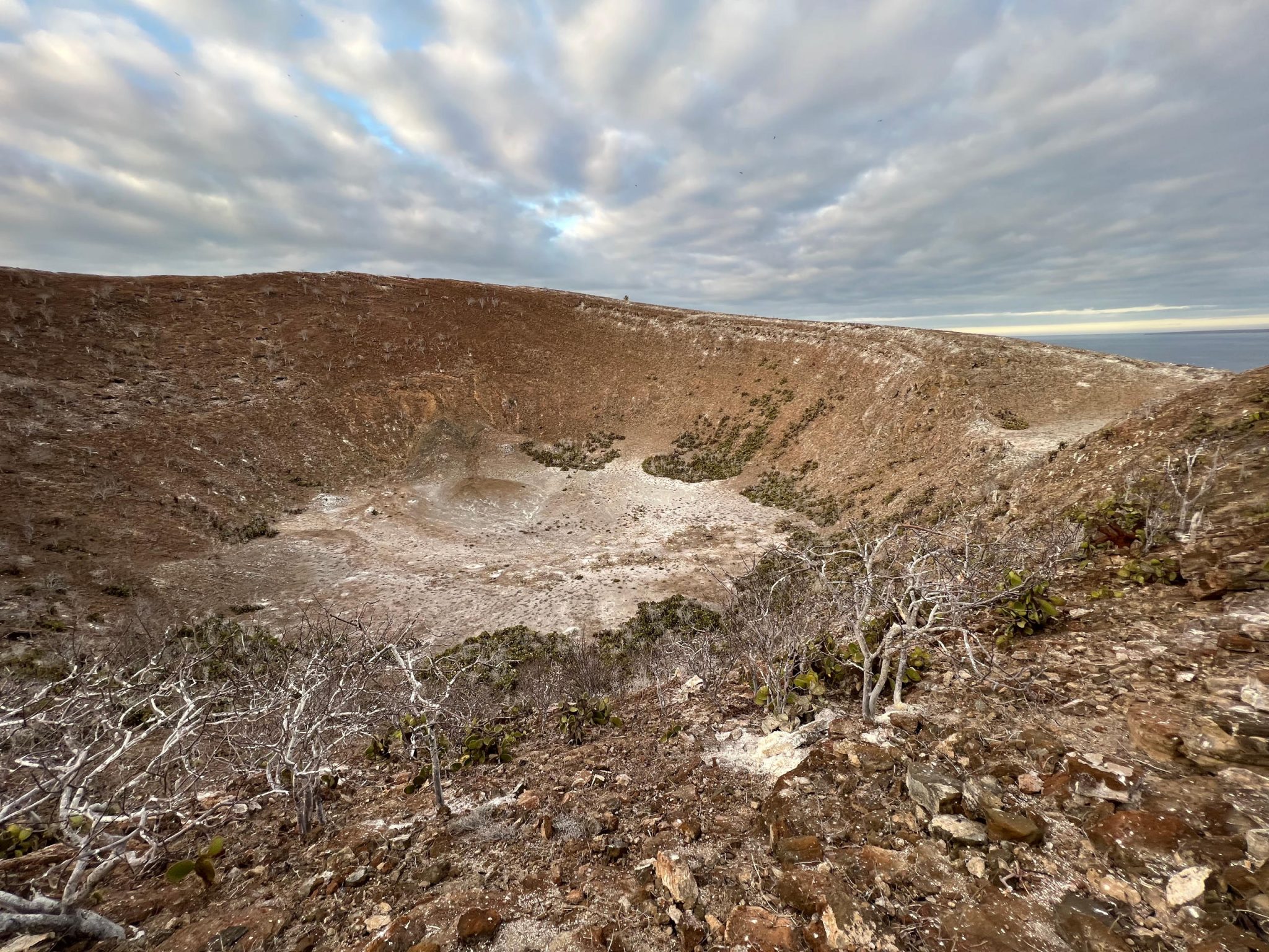 Decoding Evolution: Landmark Study Sheds Light on Darwin’s Iconic Finches