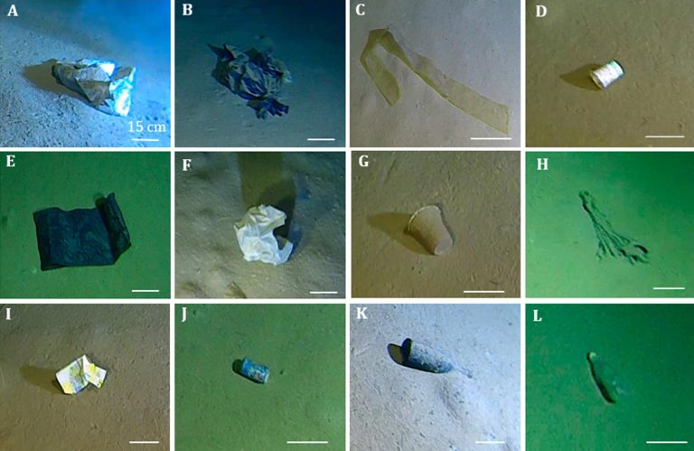 Alarming Discovery: Human Trash Found at Deepest Point of the ...