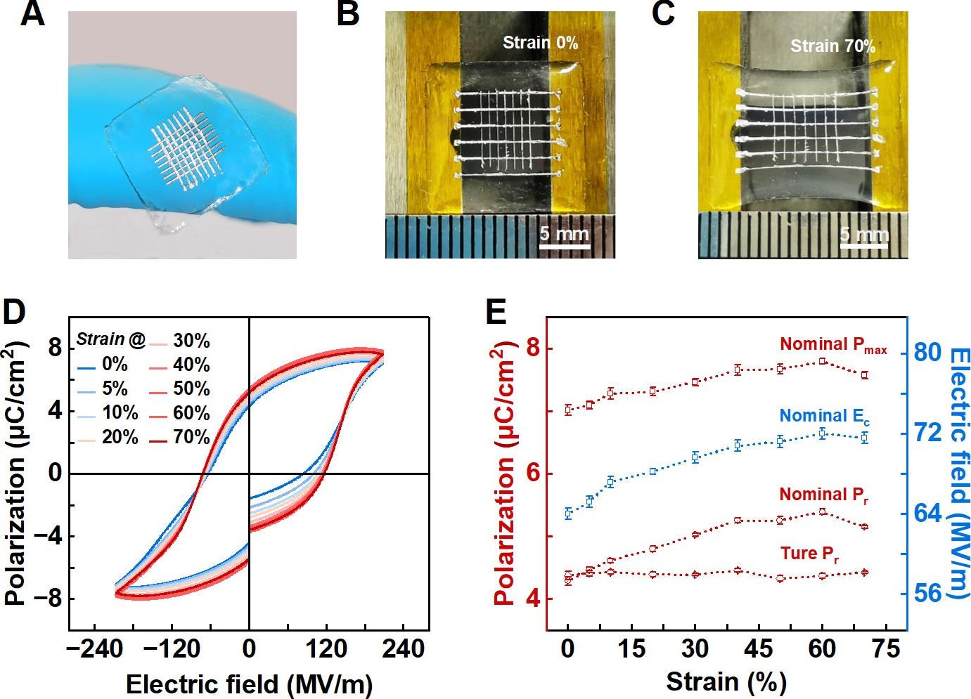 Redefining Electronics: Ferroelectric Material Is Now Elastic