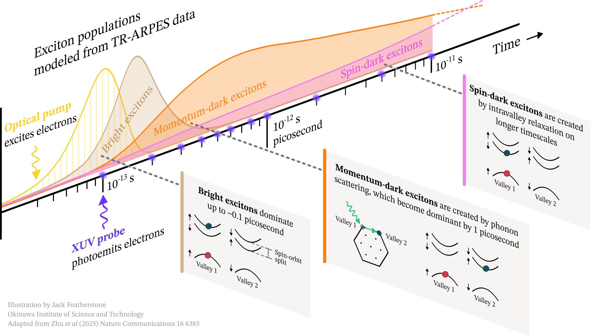 In a World-First, Scientists Directly Observe Elusive “Dark Excitons”