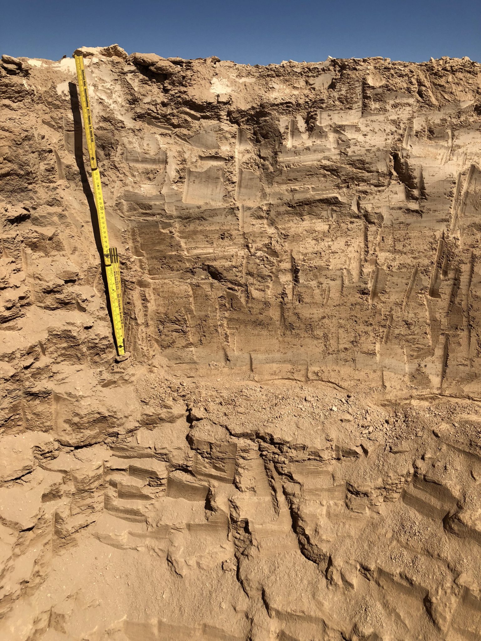 Astonishing Discovery – Researchers Discover Life 13 Feet Below Earth’s ...