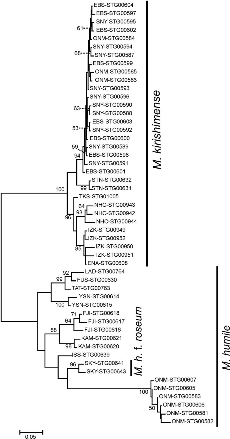 Shaking Up Our Understanding: Ethereal Variant of Mysterious Plant Is ...