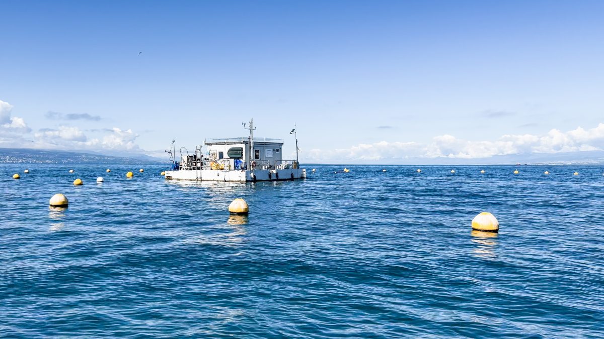 Why Does Lake Geneva Emit As Much CO2 as a City? Scientists Solve the ...