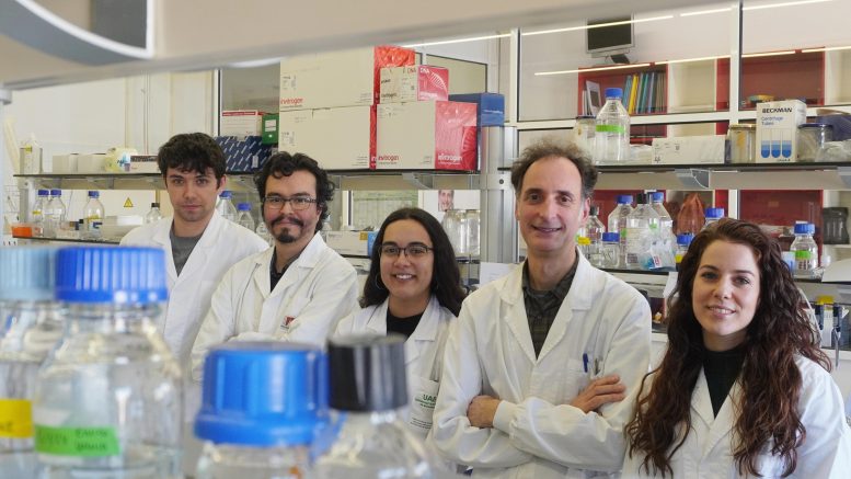 Could We Be Fighting Alzheimer’s Wrong? New Research Suggests a ...