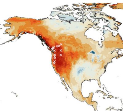 1,000-Plus Years of Tree Rings Confirm Unprecedented Nature of 2021 ...