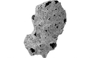 Researchers Discover Remains of Possibly Earliest Known Ancestor