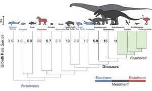 Recent Discoveries Change How We Think about Dinosaurs
