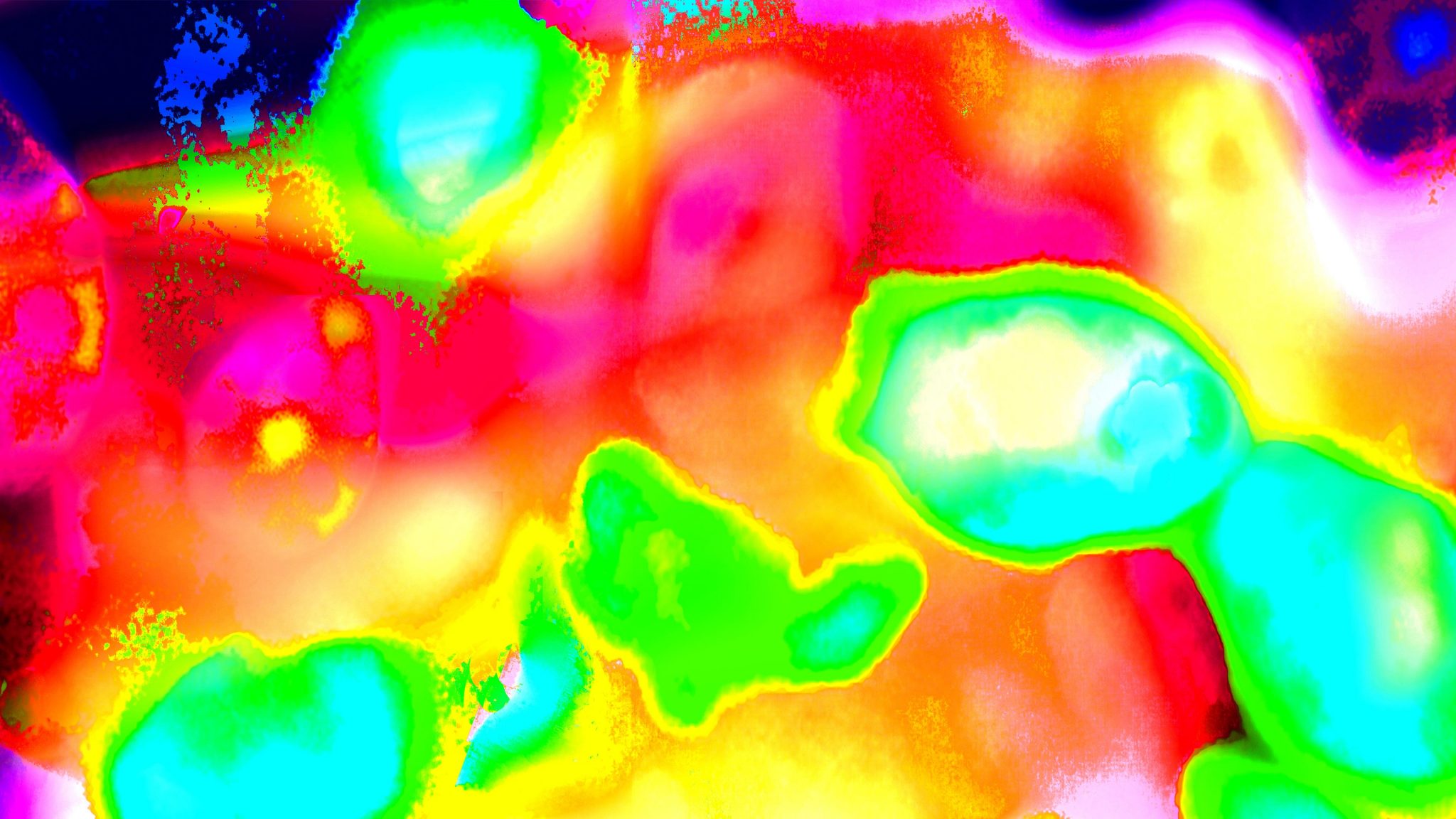 Researchers Discover How to Turn On the Heat in Energy-Burning Fat Cells