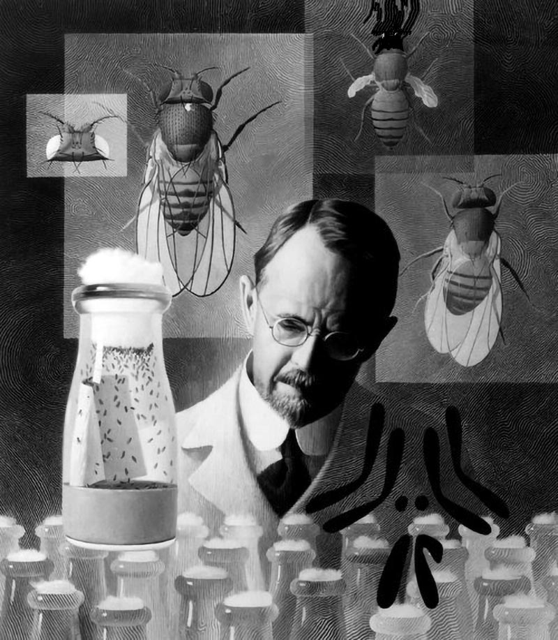 Genetic Breakthrough: Scientists Induce Asexual Reproduction in Fruit Flies