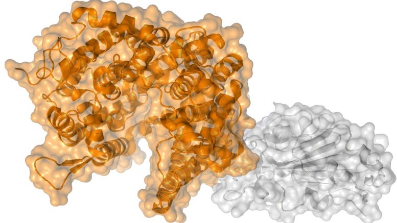 New Research Reveals That Quantum Physics Causes Mutations in Our DNA