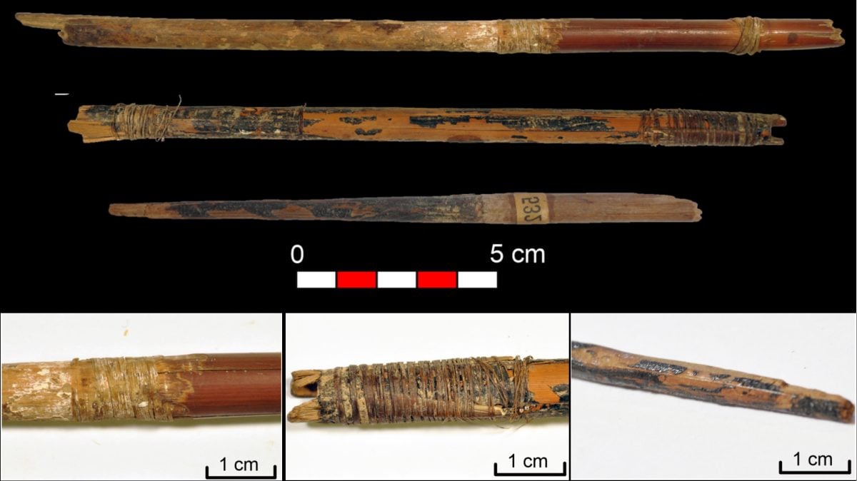 7,000-Year-Old Bowstring and Arrow Discovery Unlocks Secrets of ...