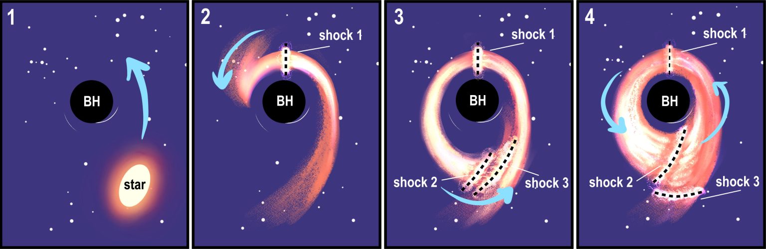 When Stars Fall Prey to Black Holes: Unraveling the Mystery of Tidal ...