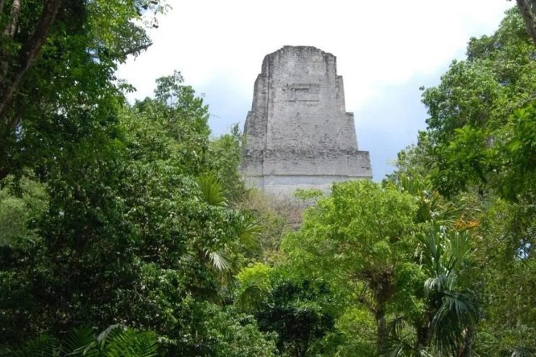 Ancient Maya Built Sophisticated Water Filters Using Natural Materials