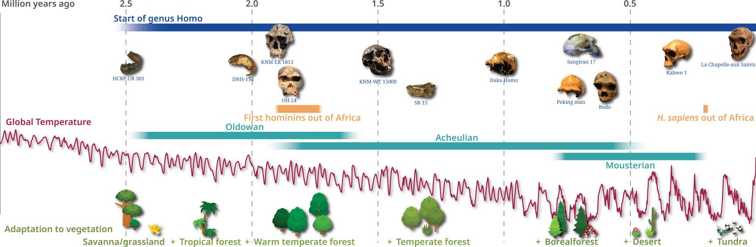 Resilient Roots: Study Shows How Ancestors Thrived Amid Climate Shifts