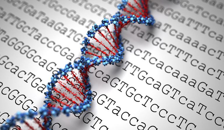 Study Shows Tiny DNA Modification Has Big Impact on Tumors