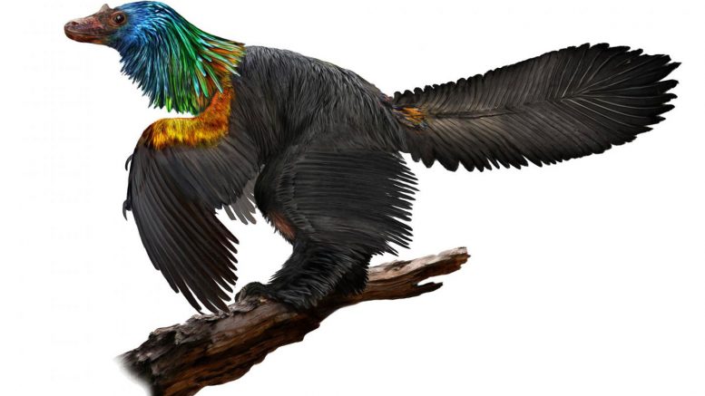 Jaw Dropping New Dinosaur Skull Discovery Reveals Evolution of Bizarre ...