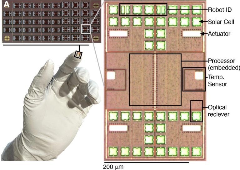 Microscopic Robots That Swim Think and Act on Their Own
