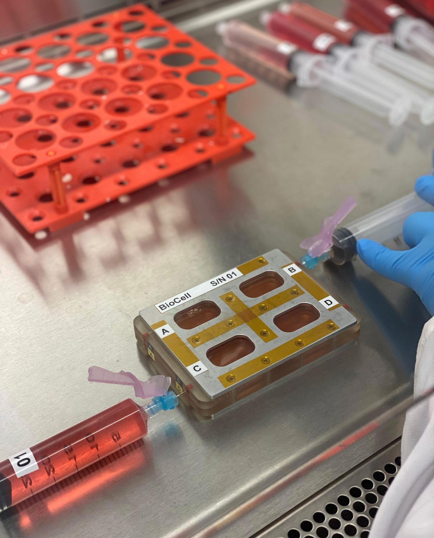 SpaceX Dragon Spacecraft Docks With ISS Delivering Science Benefiting ...