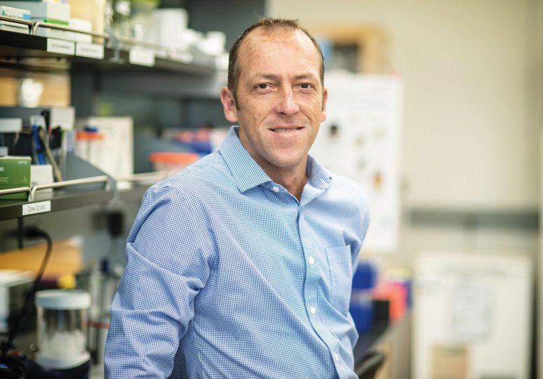 New Bedbug Research Reveals Genetic Secret to Fighting Infestations