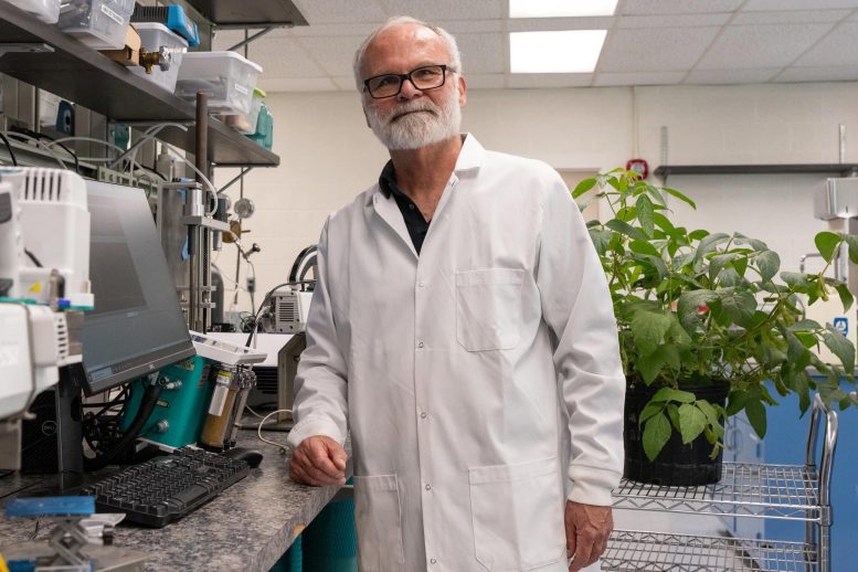 The Surprising Way Plants May Be Polluting the Air You Breathe