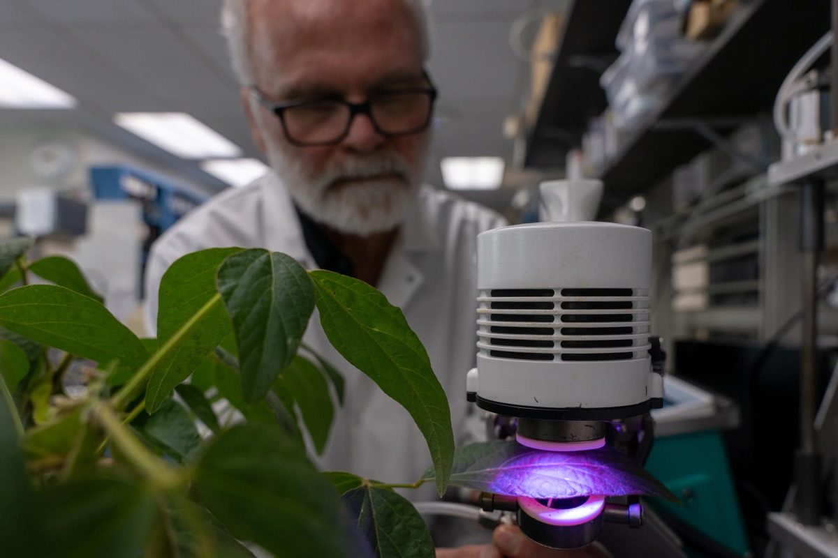The Surprising Way Plants May Be Polluting the Air You Breathe