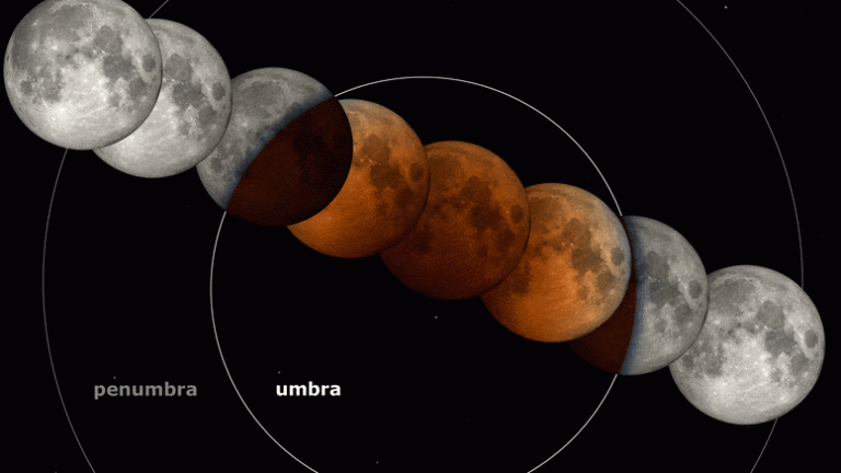 NASA Science in the Shadows: Five Exciting Experiments for 2024 Total ...