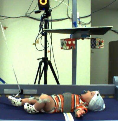 New AI Unlocks the Secrets of Infant Learning and Development